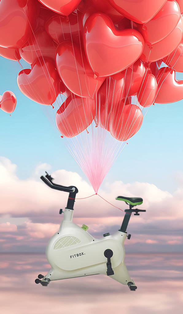 FITBOX LITE – FITBOXストア