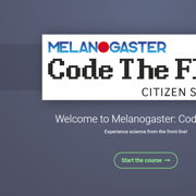 Melanogaster: Code the Fly! — Шаг 1 — Stepik