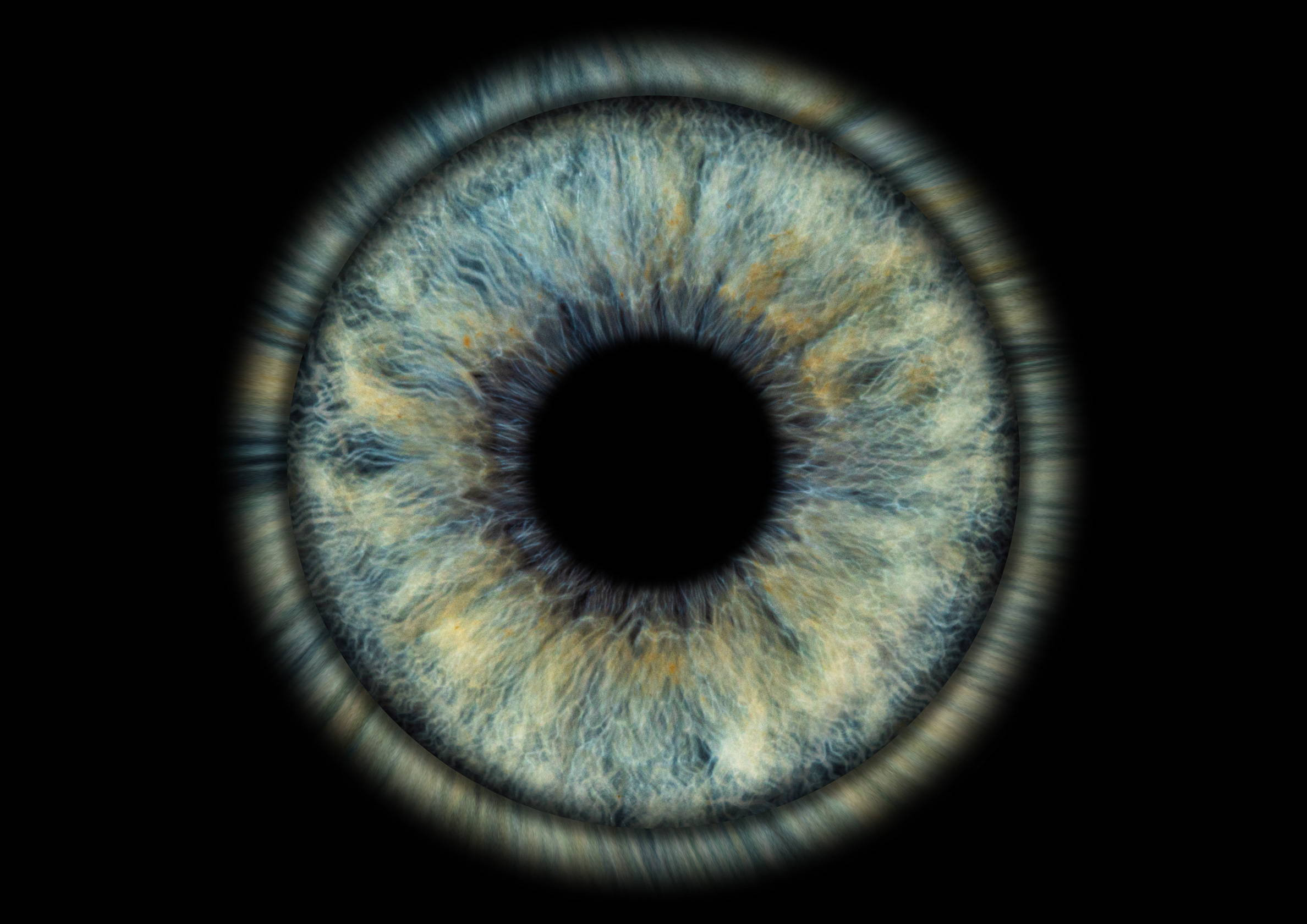 Kainoraštis – Akių Fotografija