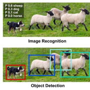 Задача сегментации — Шаг 1 — Stepik