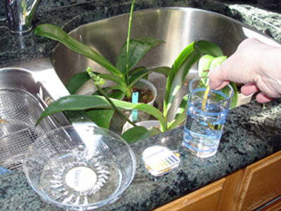 pH Testing for Orchids – rePotme