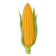 Система классификации ФАО. Гибриды и сорта. — Шаг 1 — Stepik