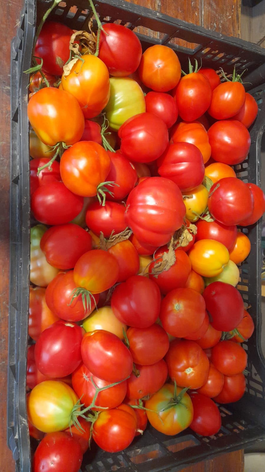 From the garden to the table: an authentic Tuscan experience 2026 ...