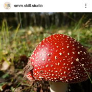 Продвижение через кнопку "Продвигать" — Шаг 3 — Stepik