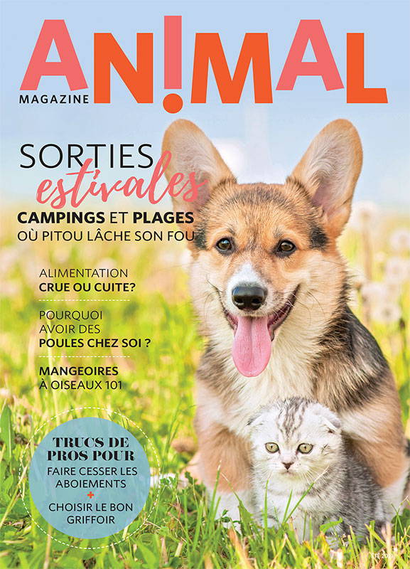 Animal | Le magazine est de retour | Je Magazine