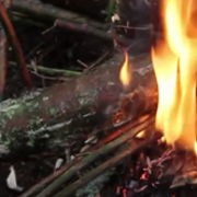 Основные опасности и защита от них в истории цивилизаций — Шаг 1 — Stepik