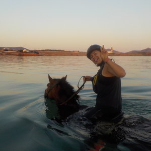 Guest Hub - Kokou Horse Riding Center