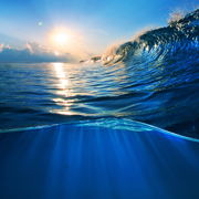 Grammar training — Шаг 1 — Stepik