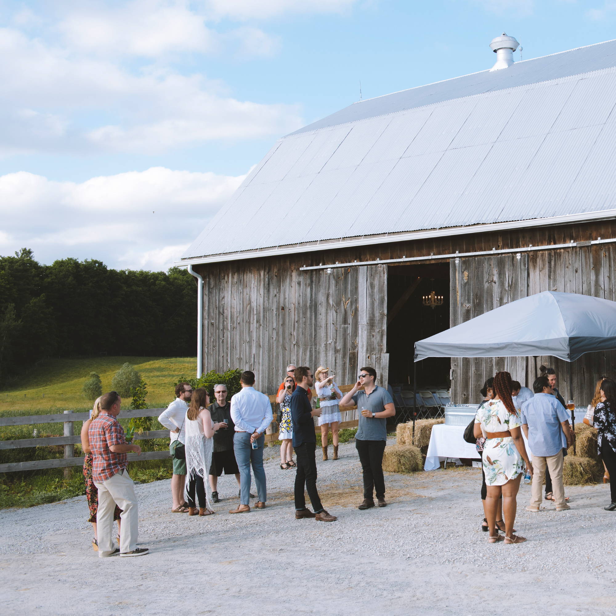 Experiences - Beretta – Beretta Farms