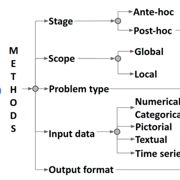 Классификация методов объяснения — Шаг 1 — Stepik
