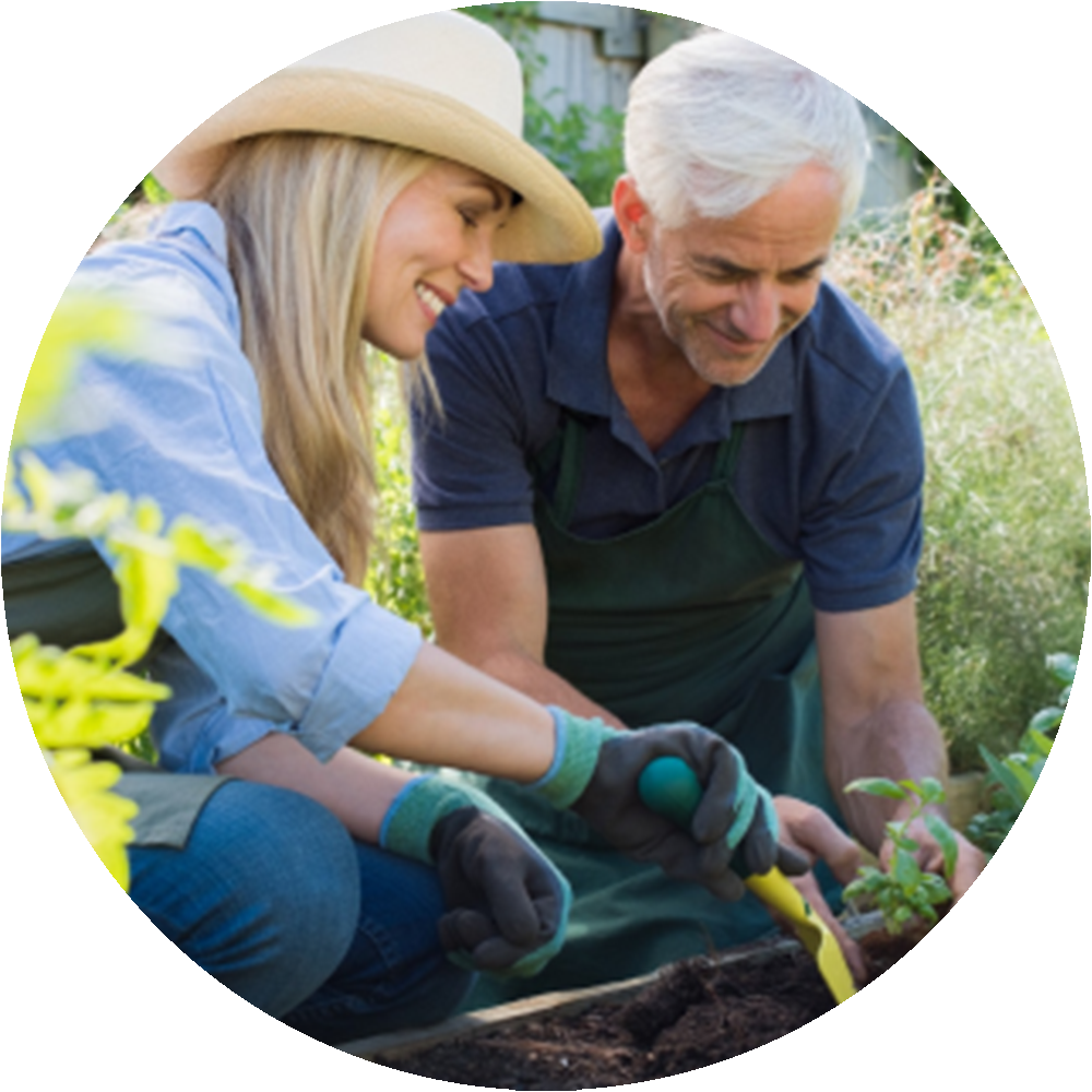 Root Rescue | Transplanter, Mycorrhizal, Plant Grower and Dealer – Root ...