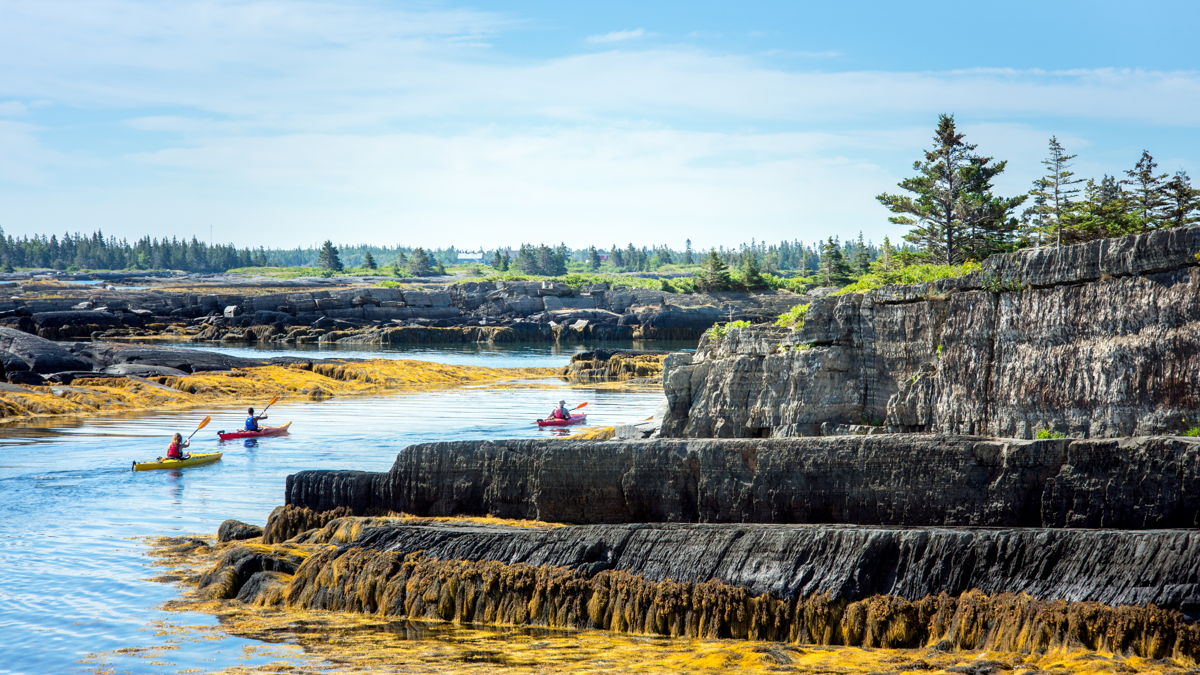 Pleasant Paddling - Paddle Through The Islands
