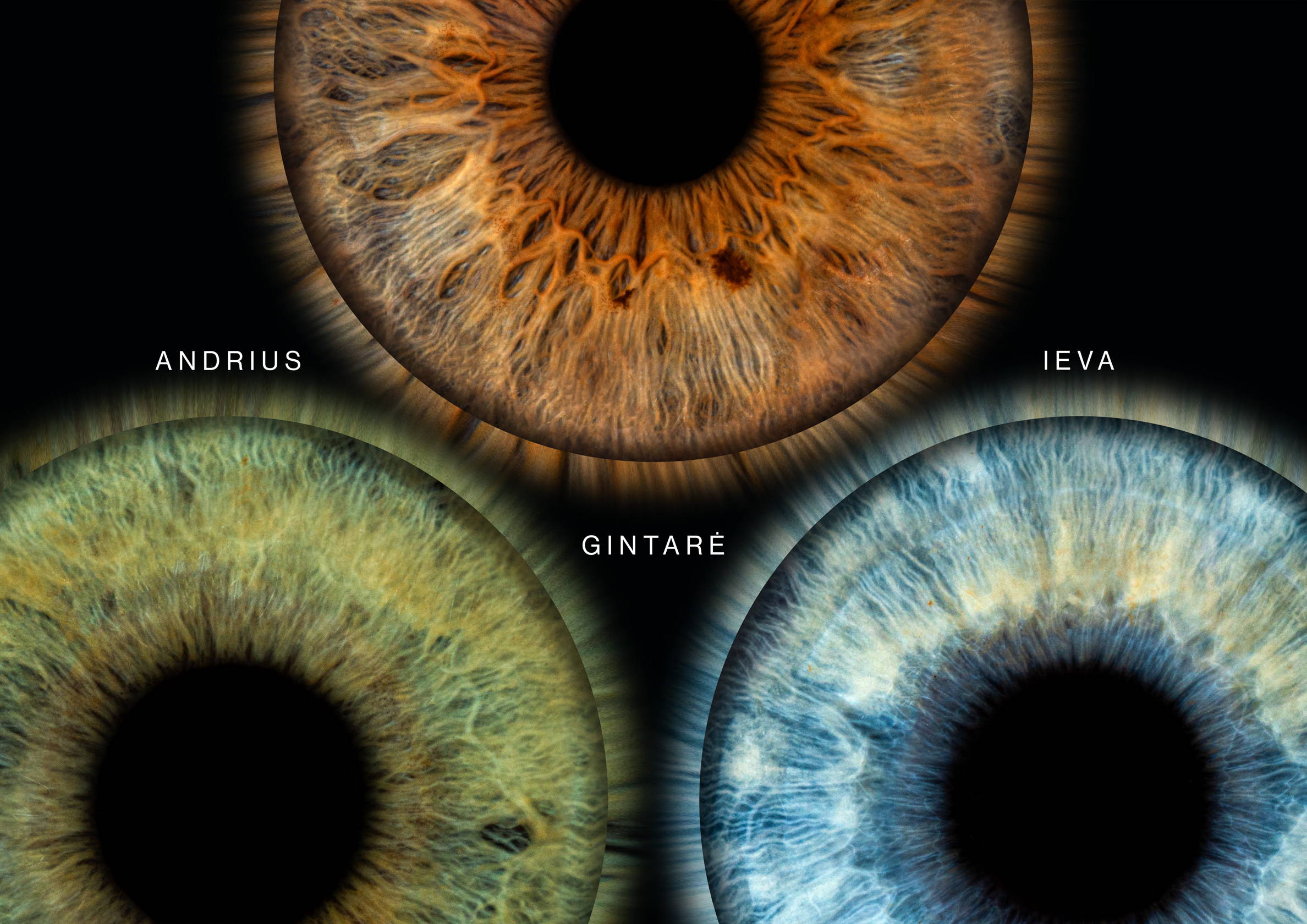 Kainoraštis – Akių Fotografija