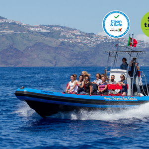 Guest Hub - Magic Dolphin Sea Safaris