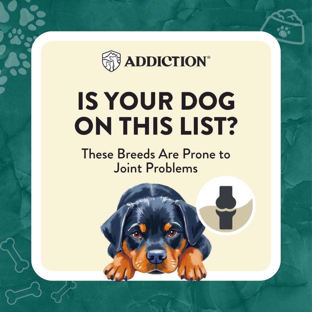 Healthy Joints for Dogs and Cats – Addiction NZ