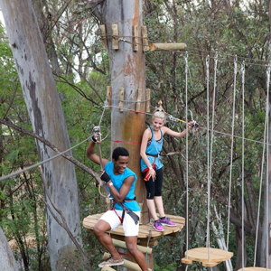 Guest Hub - Acrobranch Centurion