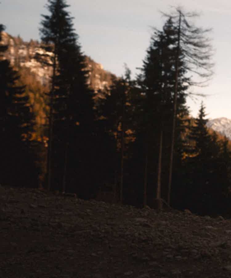 School of Ministry & Leadership Development - Youth With A Mission ...