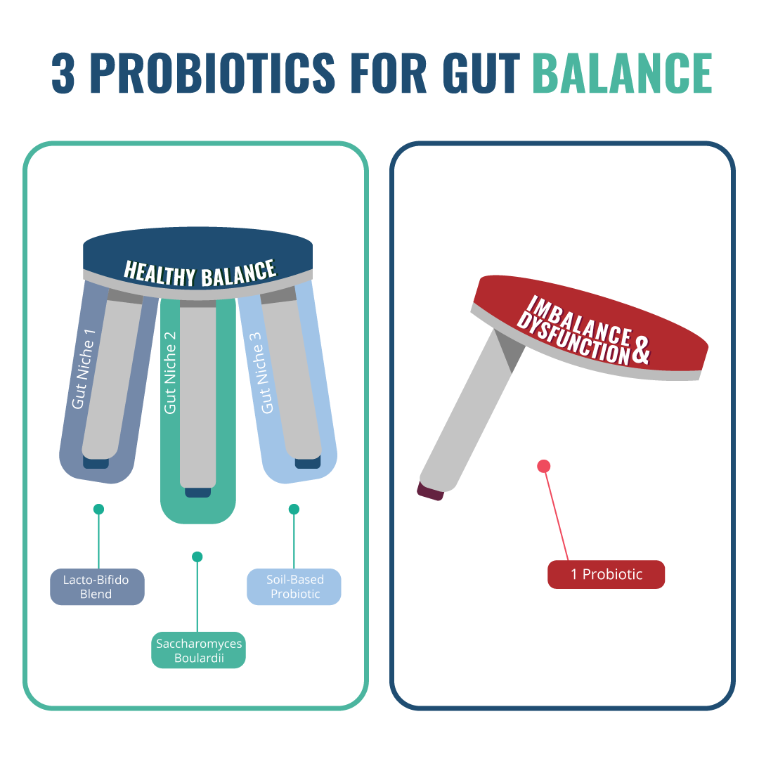 Types Of Probiotics Dr Michael Ruscio Bcdnm Dc