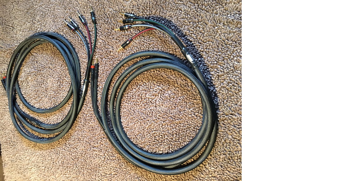 Rogue Audio Cables Reference Series 10ft B... For Sale | Audiogon