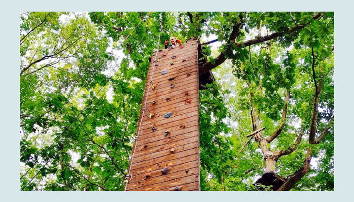 Tree2Tree - Duisburg Wedau