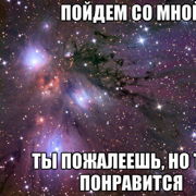 Организационная информация! — Шаг 1 — Stepik