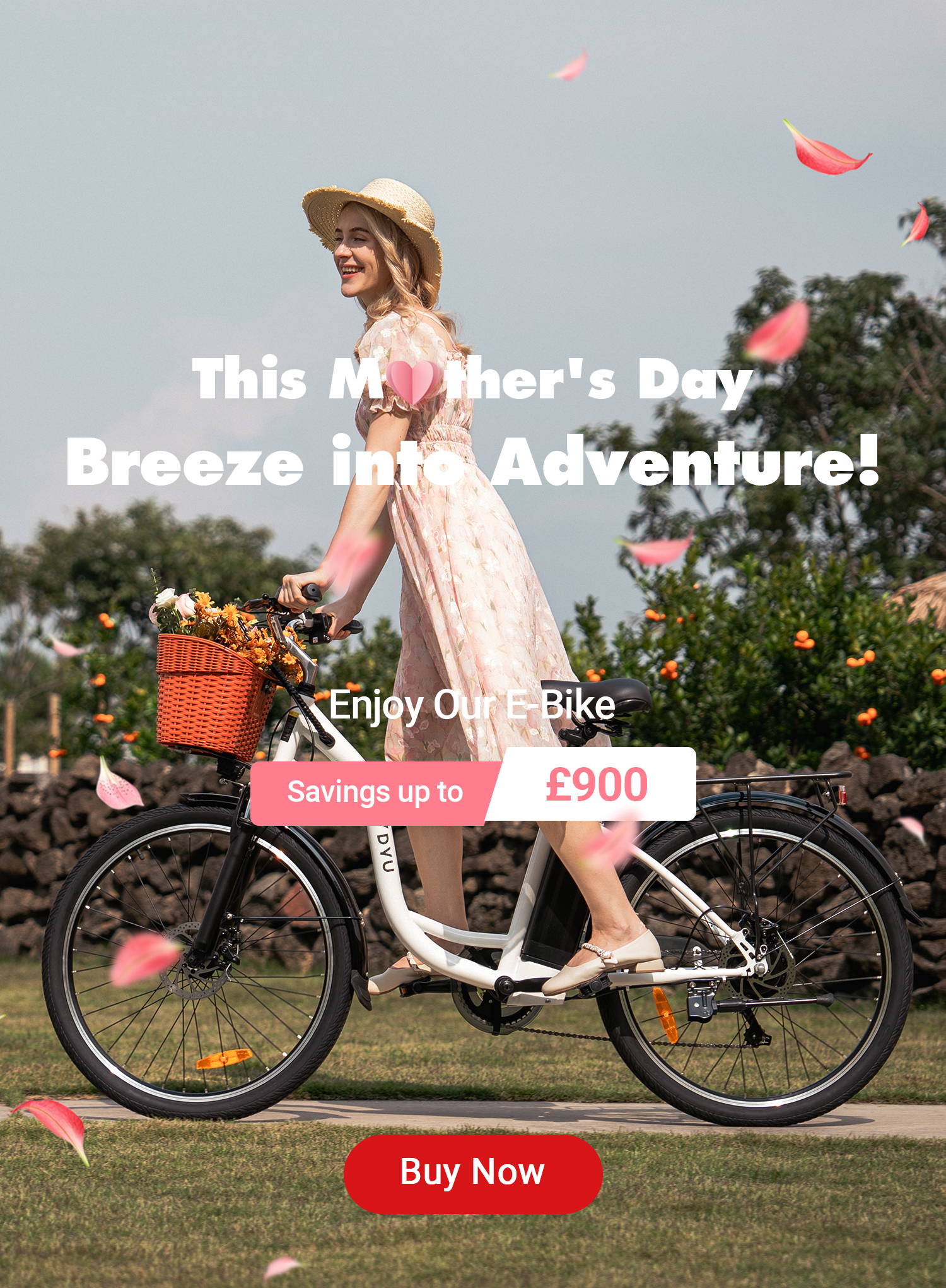 Summer Sale – DYU UK