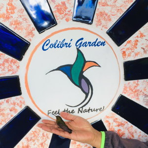 Guest Hub - Colibrí Garden