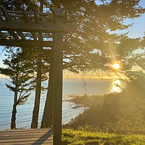 Sean Thomas Tarnowski and Dominique Cristine Gray's Wedding Registry on ...