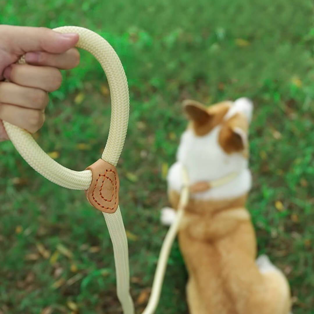 Copy of Blog 2: the art ang design – moneo