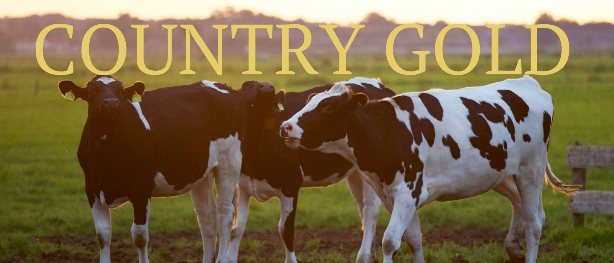 Country Gold