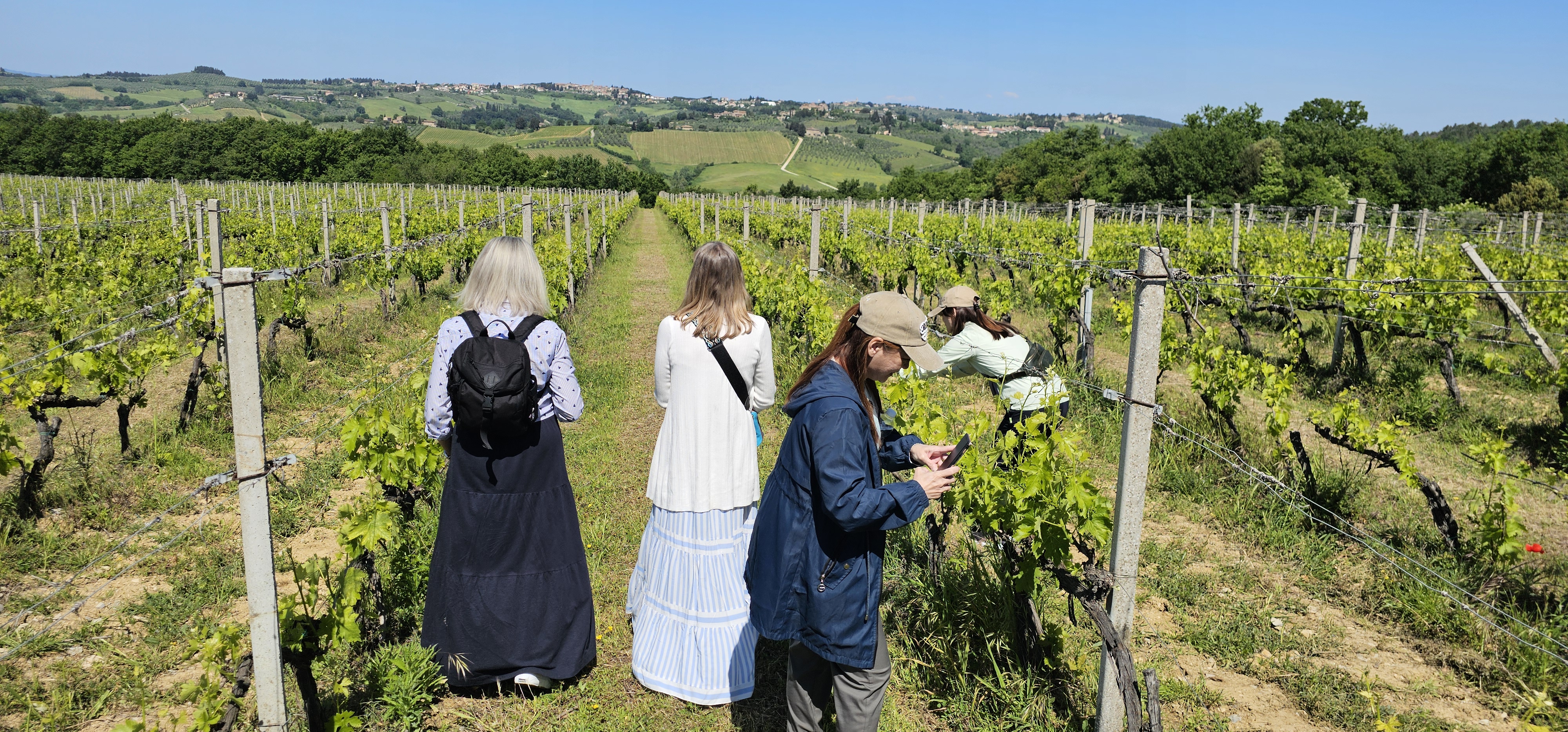 Chianti : visite de cave et dégustation de vins 2026 - Tours ...