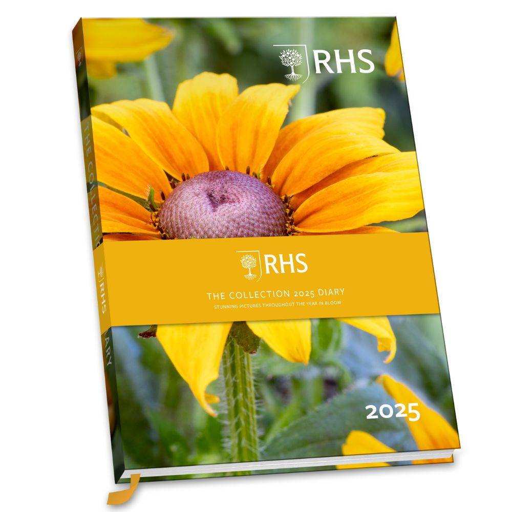 2025 Calendars, Diaries, Personalised Birthday Cards and Gift Wrap ...