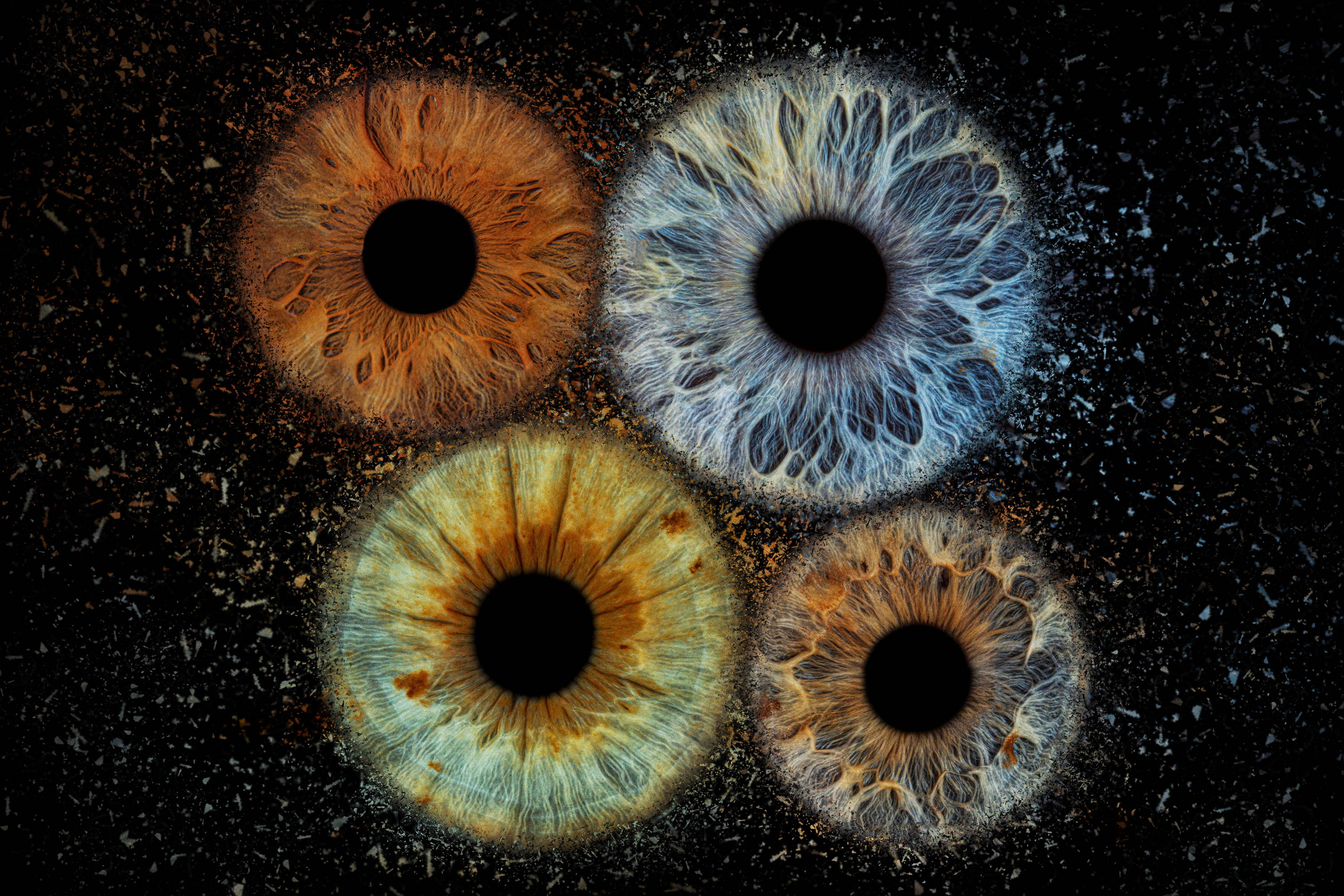 Kainoraštis – Akių Fotografija