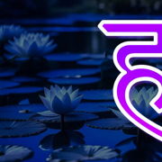 Согласные — Шаг 8 — Stepik