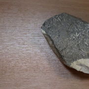 Practice and practical tasks — Шаг 1 — Stepik