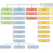 Виды тестирования — Step 7 — Stepik