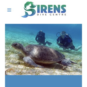 Guest Hub - Sirens Dive Centre