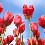 Март 2025 (задачи разные) — Шаг 9 — Stepik