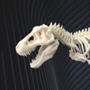 Полезная литература и источники — Шаг 1 — Stepik