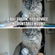 Noun: regular and irregular plurals + articles. — Шаг 1 — Stepik