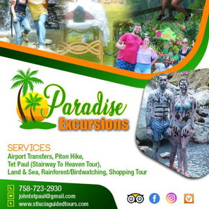 Guest Hub - Paradise Excursions