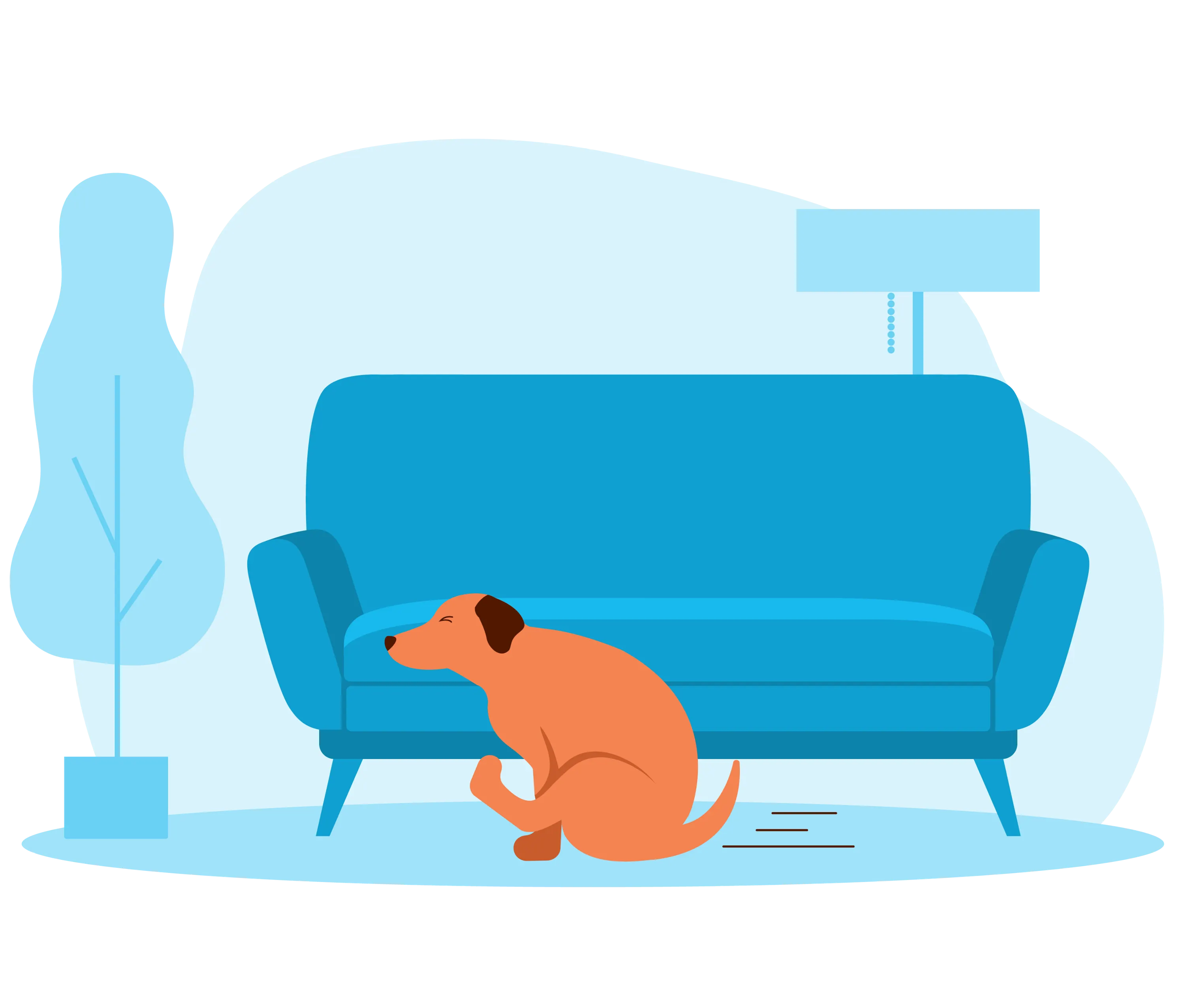 Anal Glands In Dogs: Everything You Need To Know | Vetnique