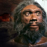 ТЕМА 1. МИР В ДРЕВНОСТИ — Шаг 5 — Stepik