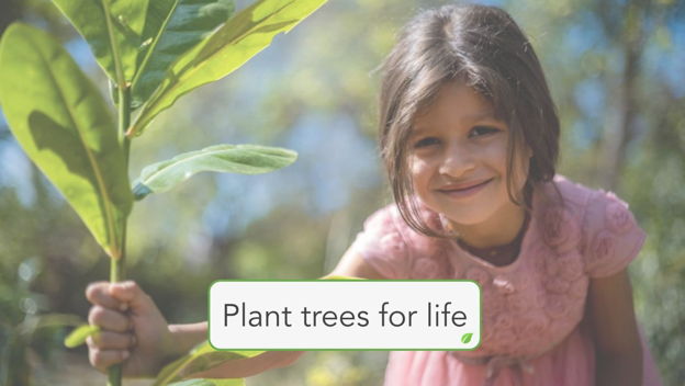 Plant Trees for Life