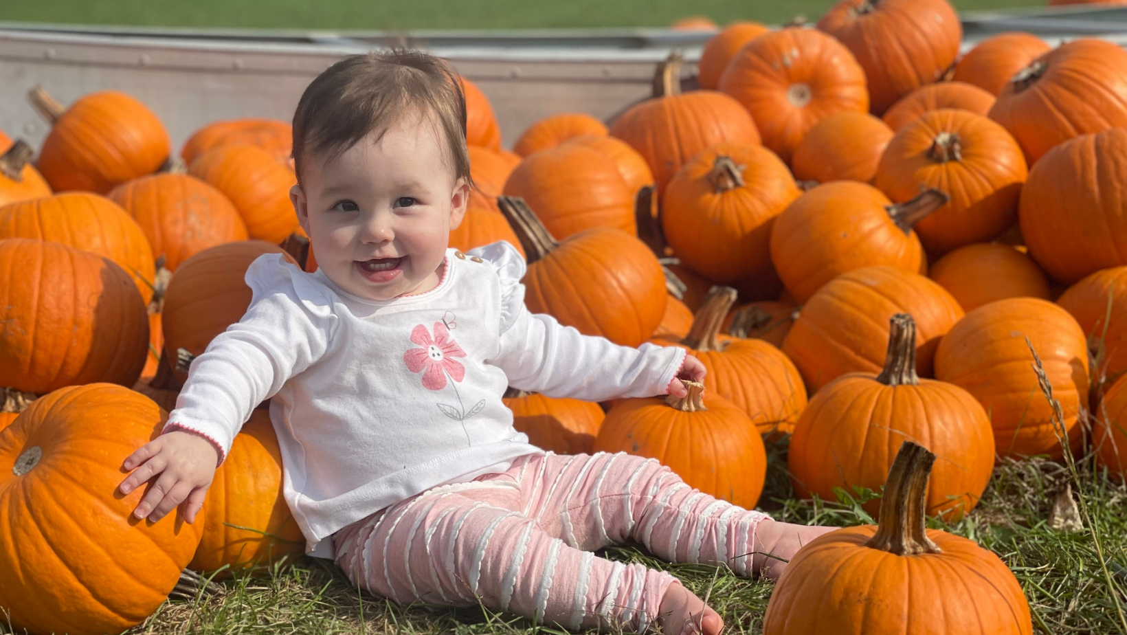 Autism Diagnostic Interview-Revised (ADI-R)