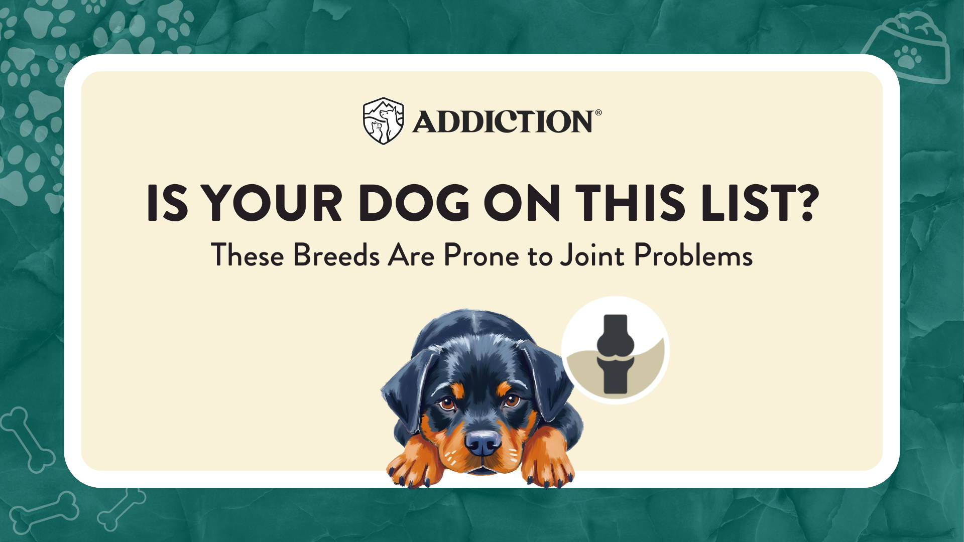 Healthy Joints for Dogs and Cats – Addiction NZ