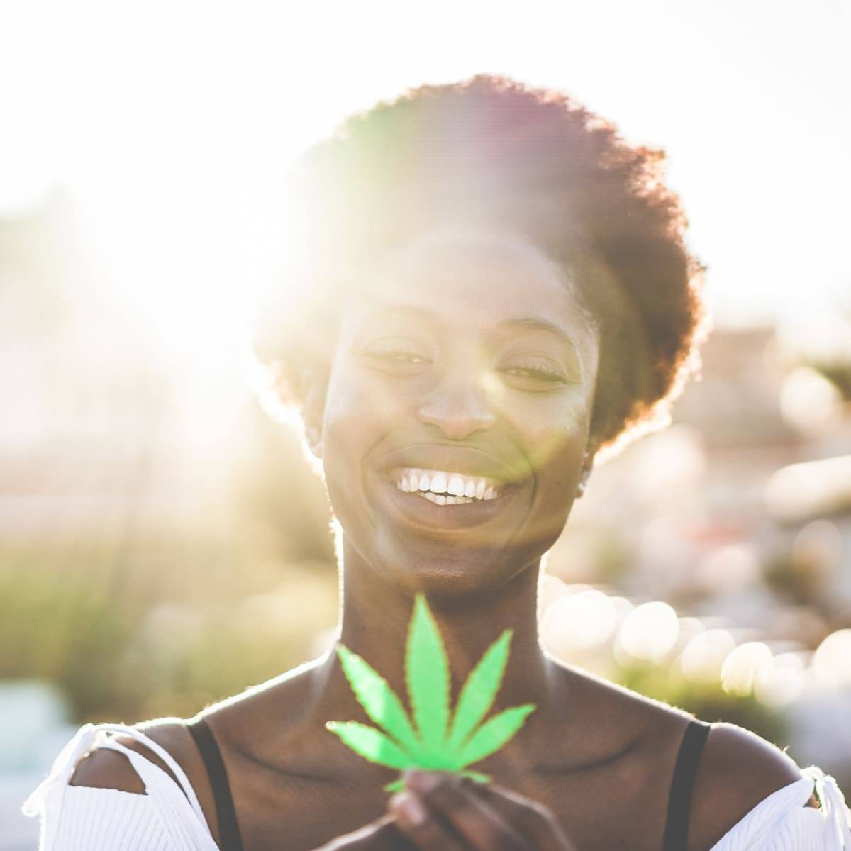 About us – Alpha Leaf