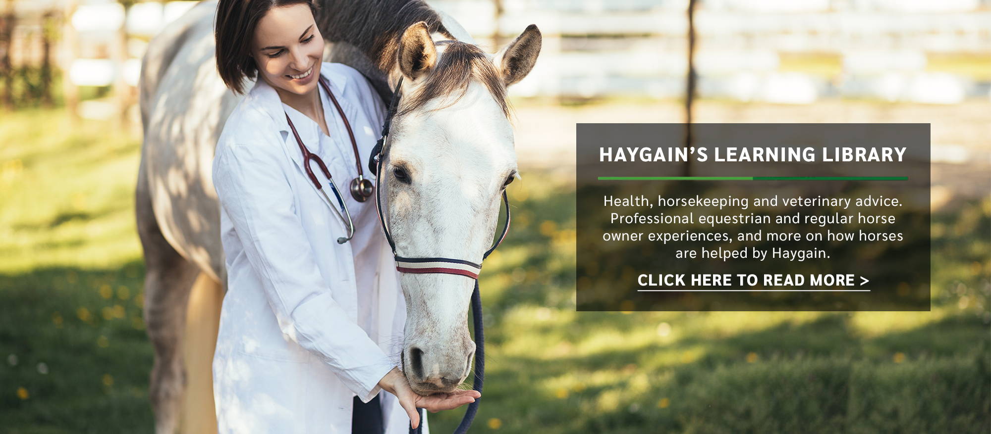 Haygain UK | Haygain, Equine Hay Steamers, Haynets, Slow Feeders ...