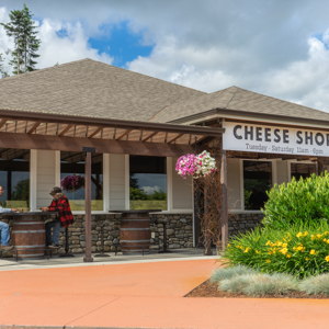 Guest Hub - The Cheese Shop at Appel Farms