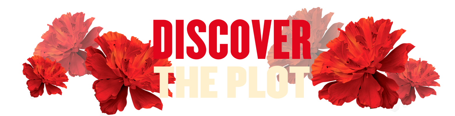 Hadestown NL | Plot - Royal Theatre Carré Amsterdam